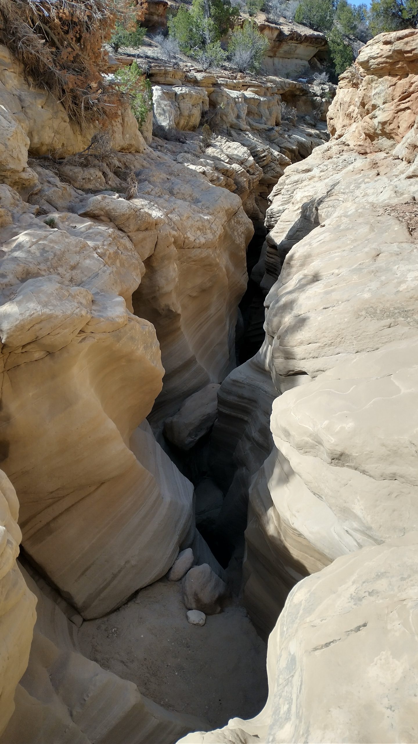 HayDay 22: Round and Round the Round Valley Draw – Twig Adventures