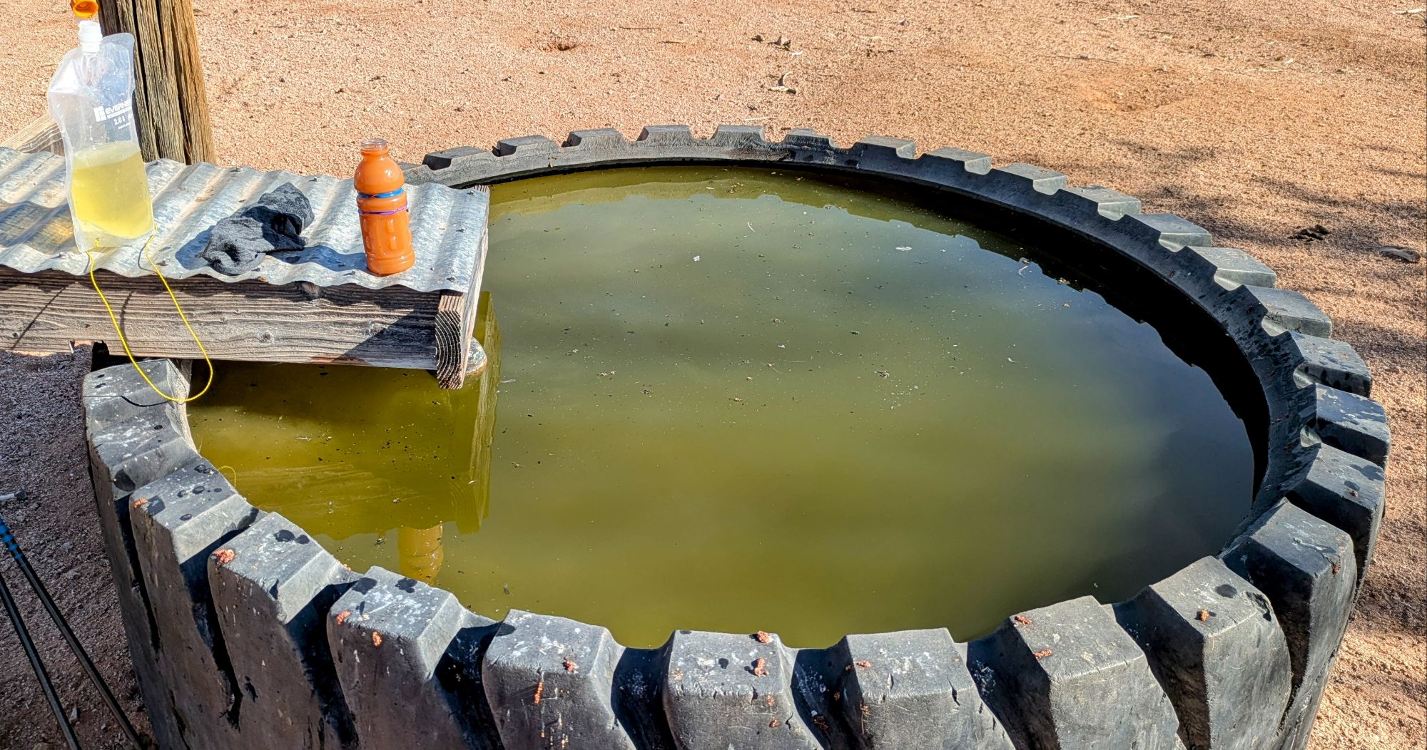 DWTH Day 6: Hot and Dry – Twig Adventures