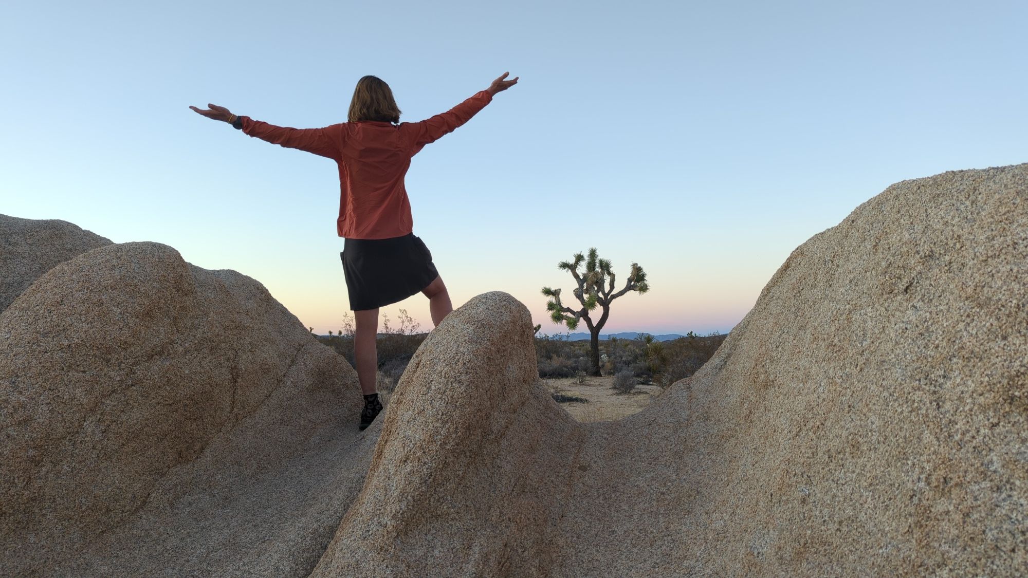 DWTH Day 38: Joshua Tree National Park!!! – Twig Adventures